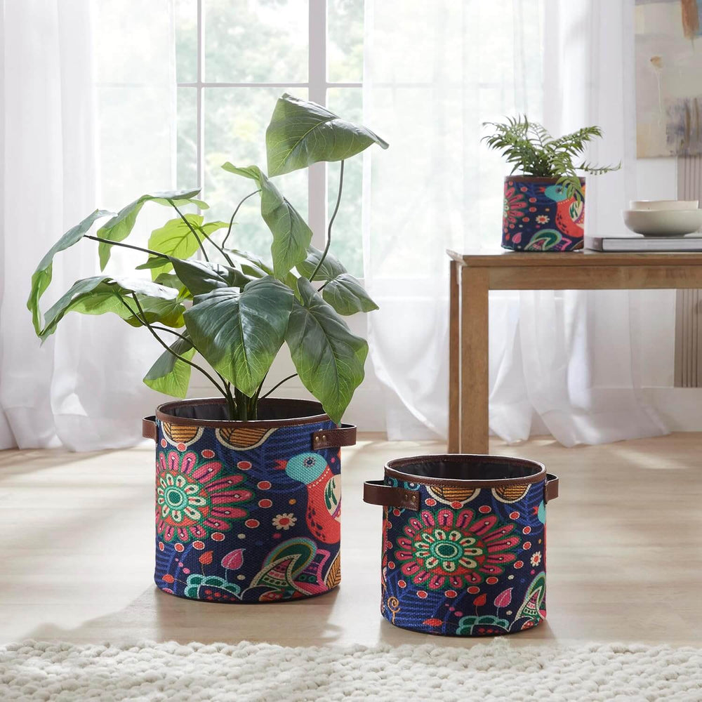Buy Oasis Planter Oversized for Home | Eco-Friendly | MonaB